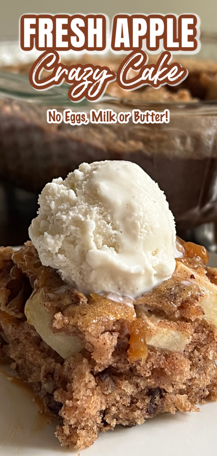 Fresh Apple Crazy Cake (No Eggs, Milk or Butter) - Sweet Little Bluebird