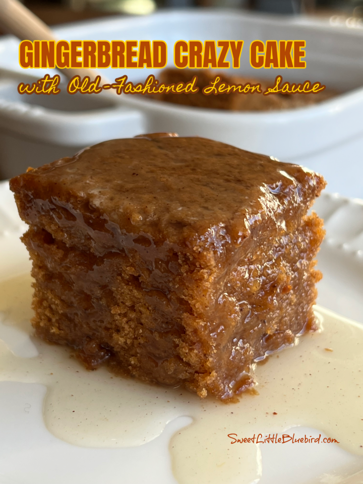 Gingerbread Crazy Cake (No Eggs, No Milk, No Butter!) - Sweet Little ...