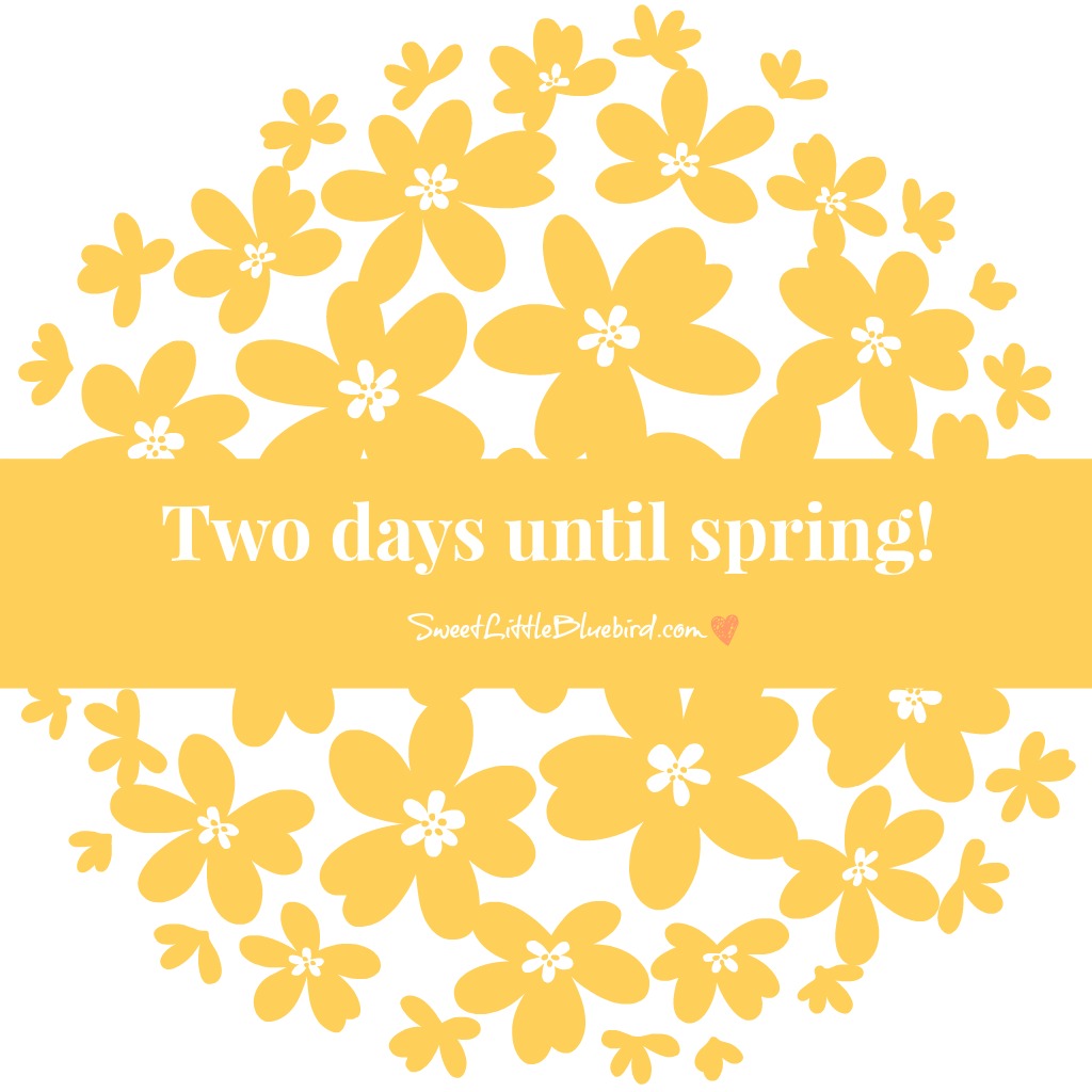 Countdown to Spring! - Sweet Little Bluebird