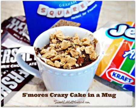 Crazy Cakes (No Eggs, Milk Or Butter) - Sweet Little Bluebird